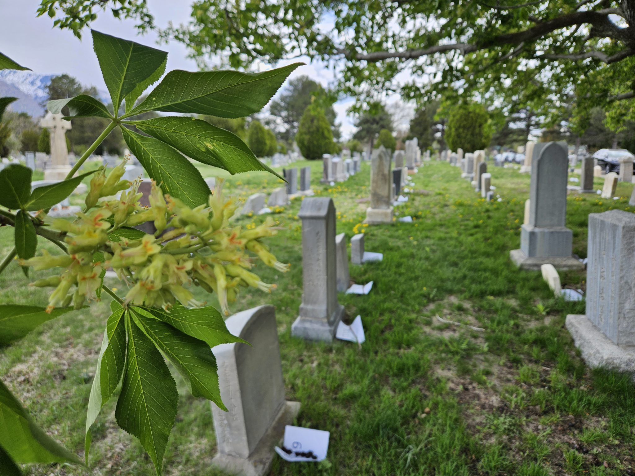 Preserving Utah History One Headstone At A Time Cce